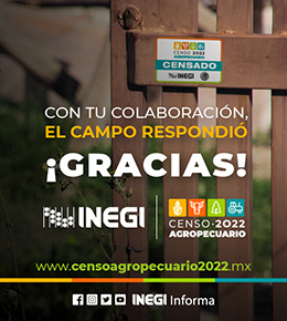 Instituto Nacional de Estadística y Geografía (INEGI)